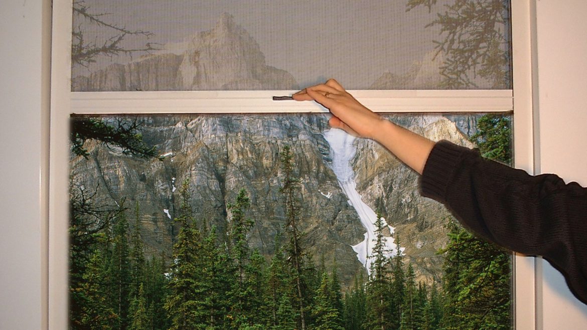 Unveiling the Benefits: Roller Fly Screen for Windows Explained - FLY ...
