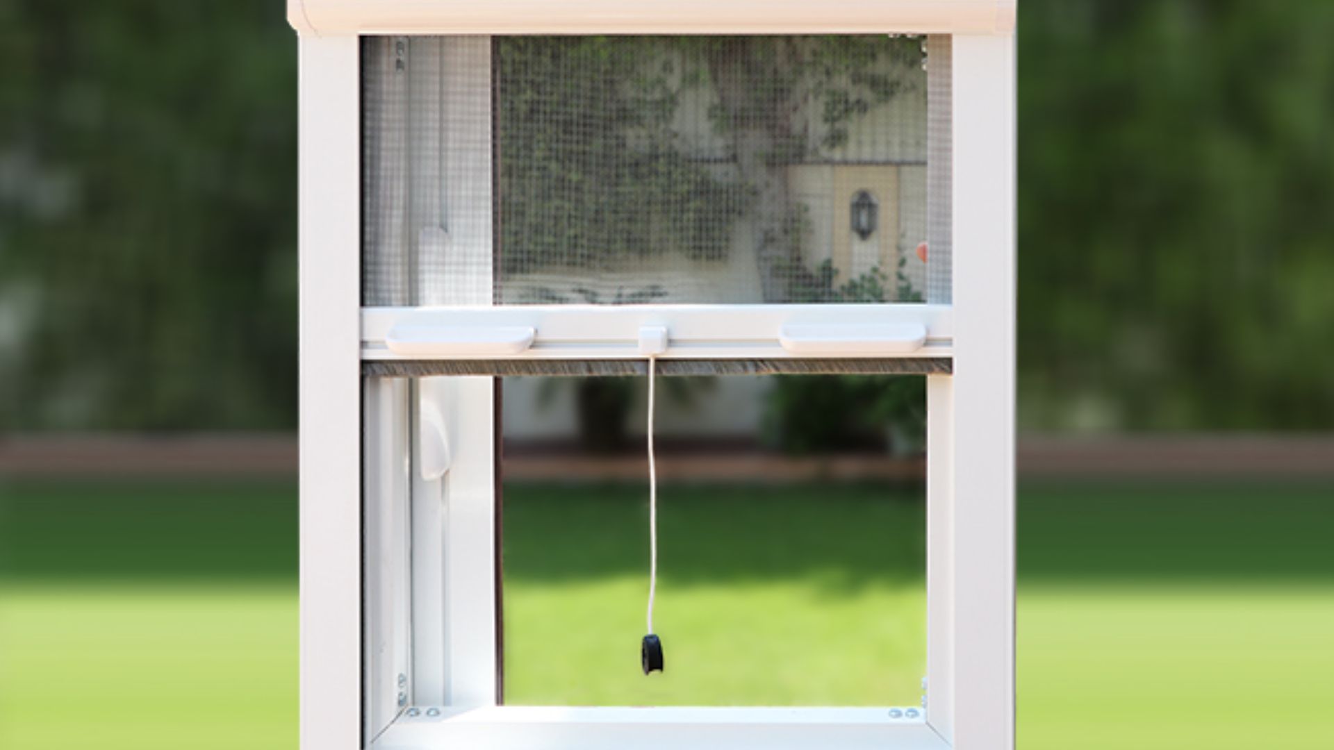 Quality With Assurance: Transform Your Home with Roller Fly Screens ...