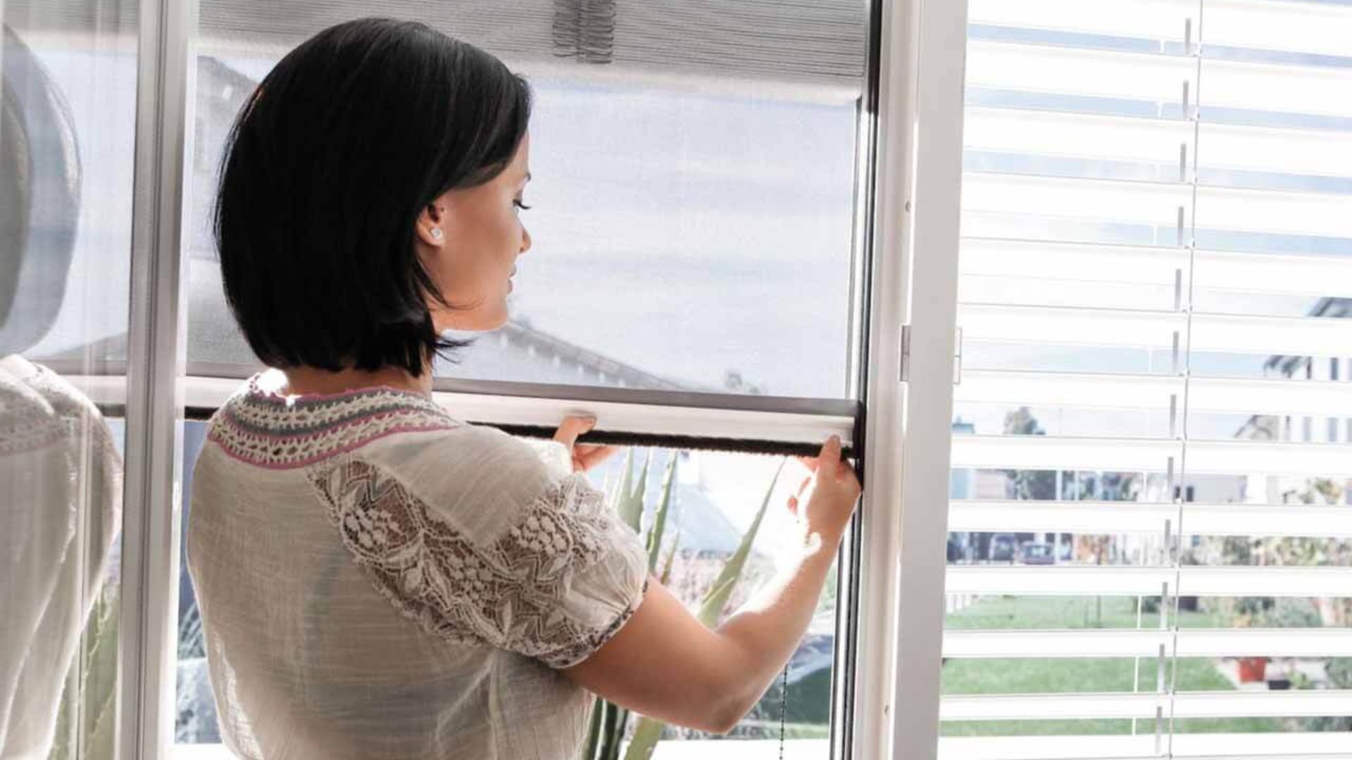 How Do Roller Fly Screens Provide Superior Protection Against Insects ...